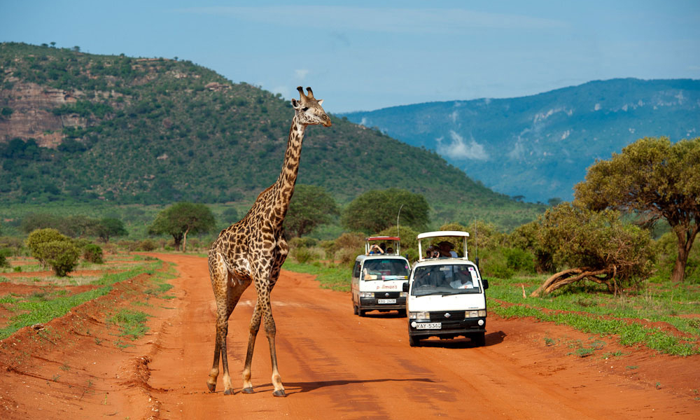 Amboseli Kenya Safaris | Amboseli National Park Safari Tours